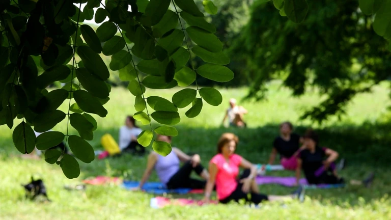 Homepage | Zerodiciotto