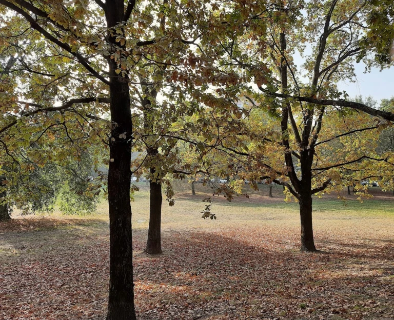 Homepage | Zerodiciotto